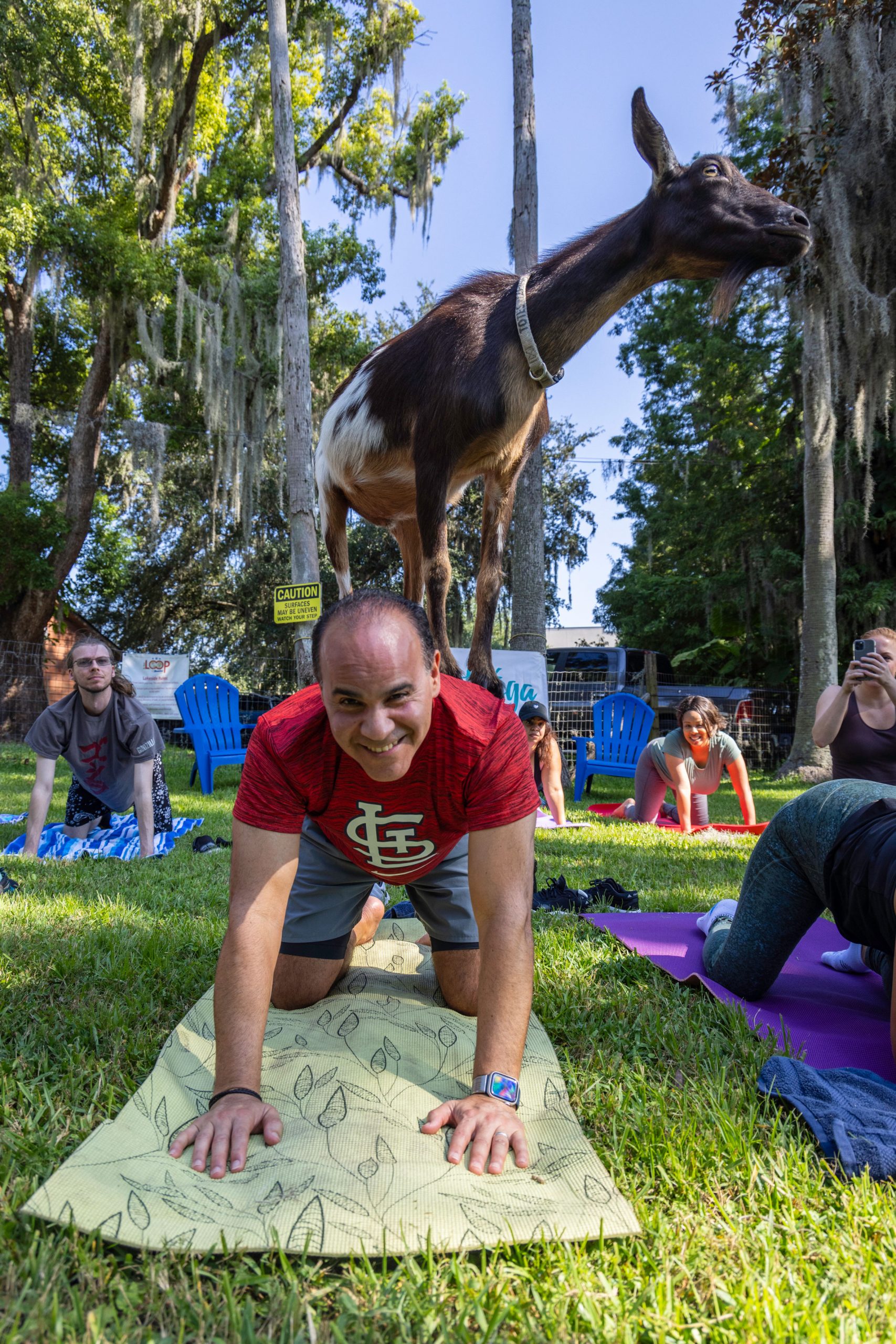 Gallery – Goat Yoga Tampa